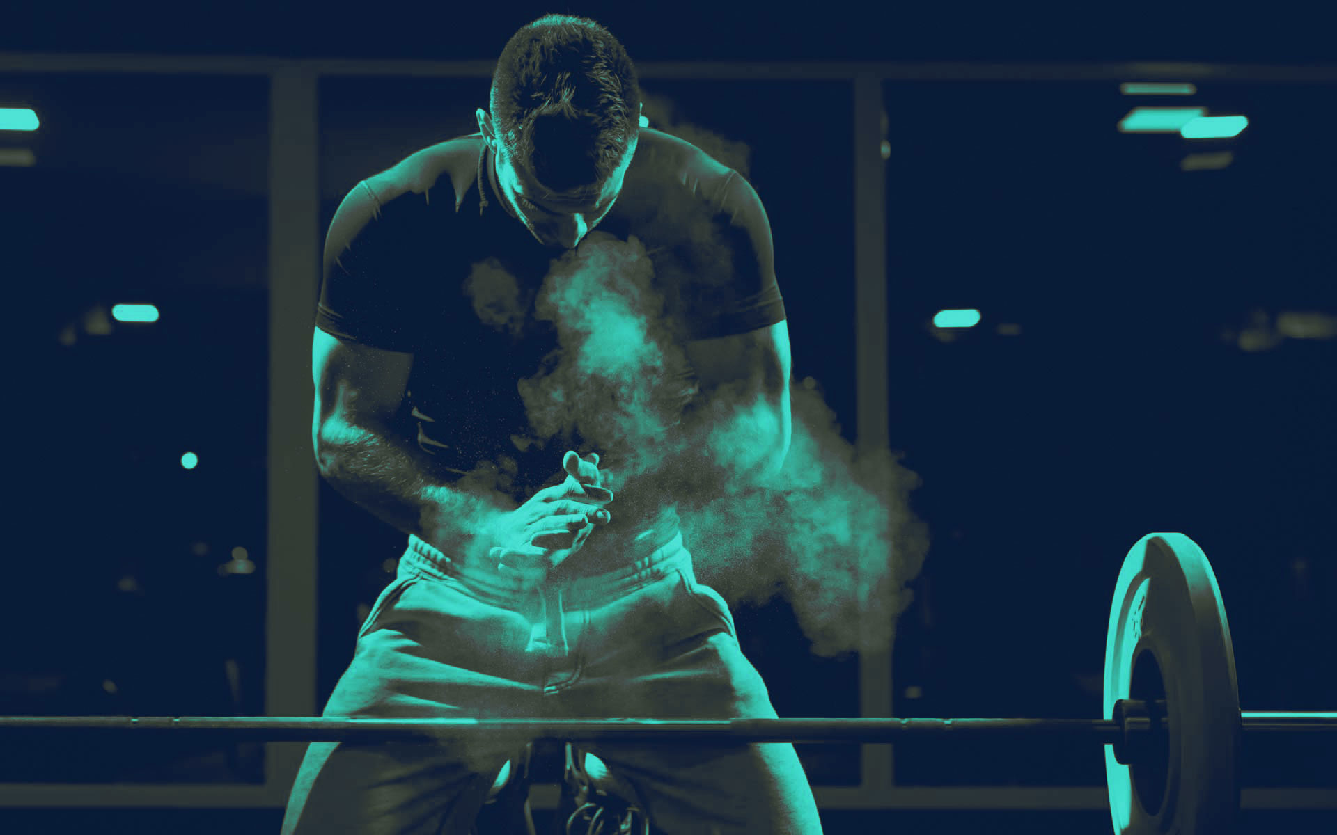 Diamond Tier Fitness | Roseville’s Premier Health & Fitness Team ...